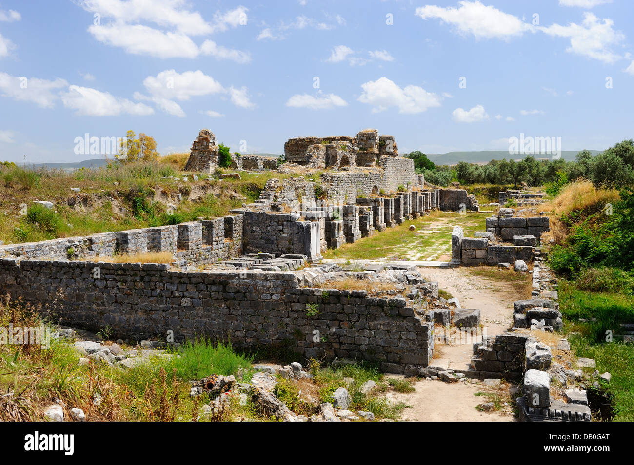 Faustina miletus -Fotos und -Bildmaterial in hoher Auflösung – Alamy