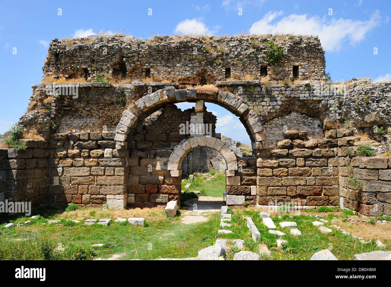 Faustina miletus -Fotos und -Bildmaterial in hoher Auflösung – Alamy
