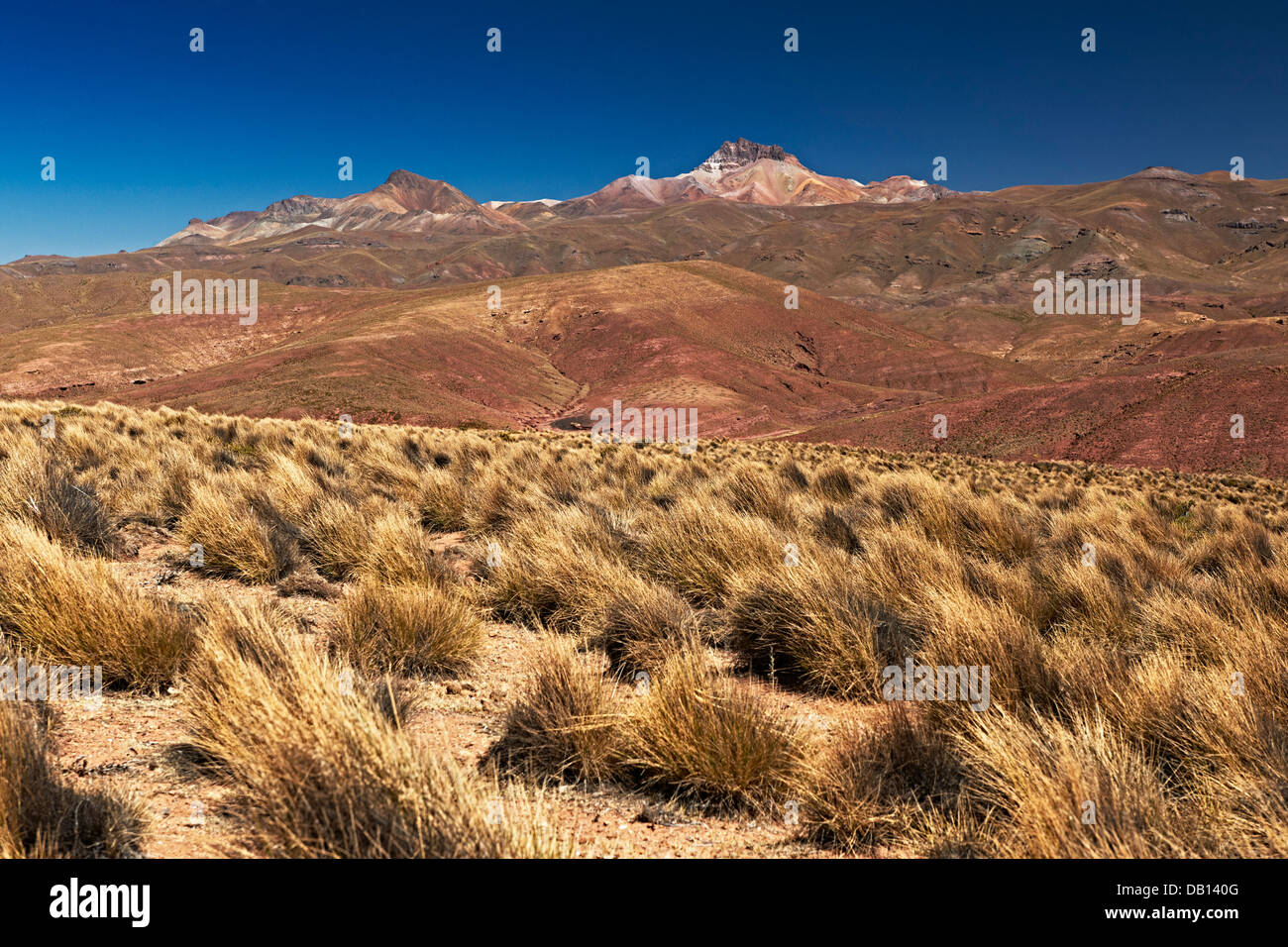 Reserva Nacional de Fauna Andina Eduardo Abaroa, Bolivien, Südamerika ...