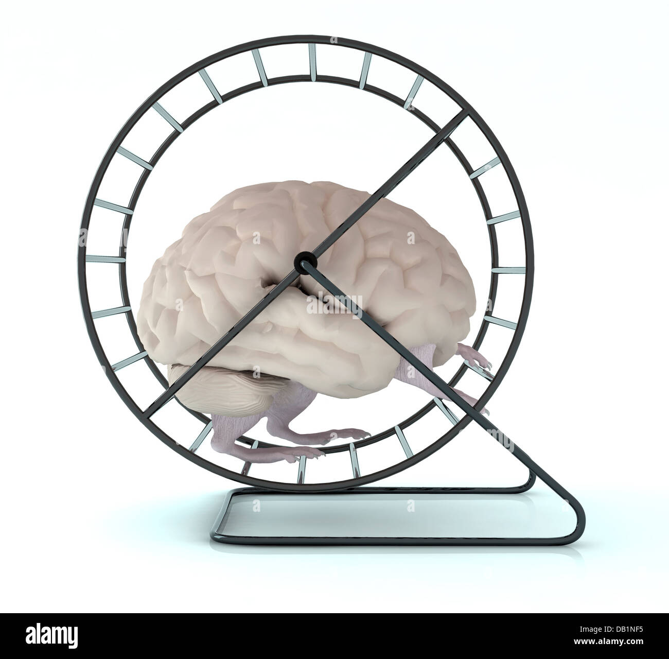 Hamster wheel illustration -Fotos und -Bildmaterial in hoher Auflösung ...