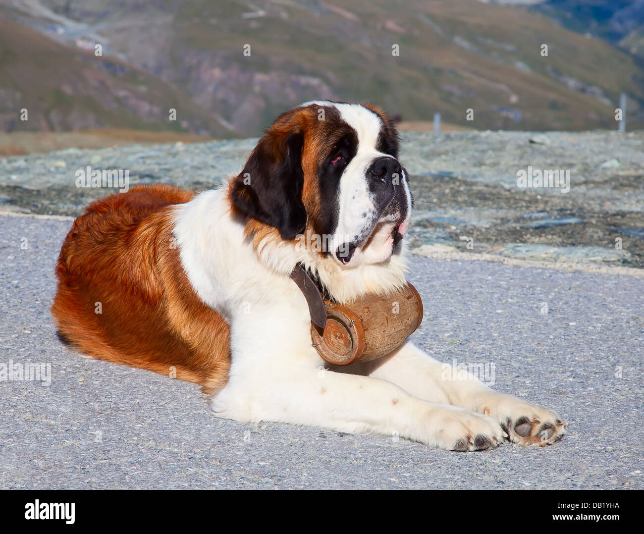 Brandy peak -Fotos und -Bildmaterial in hoher Auflösung – Alamy