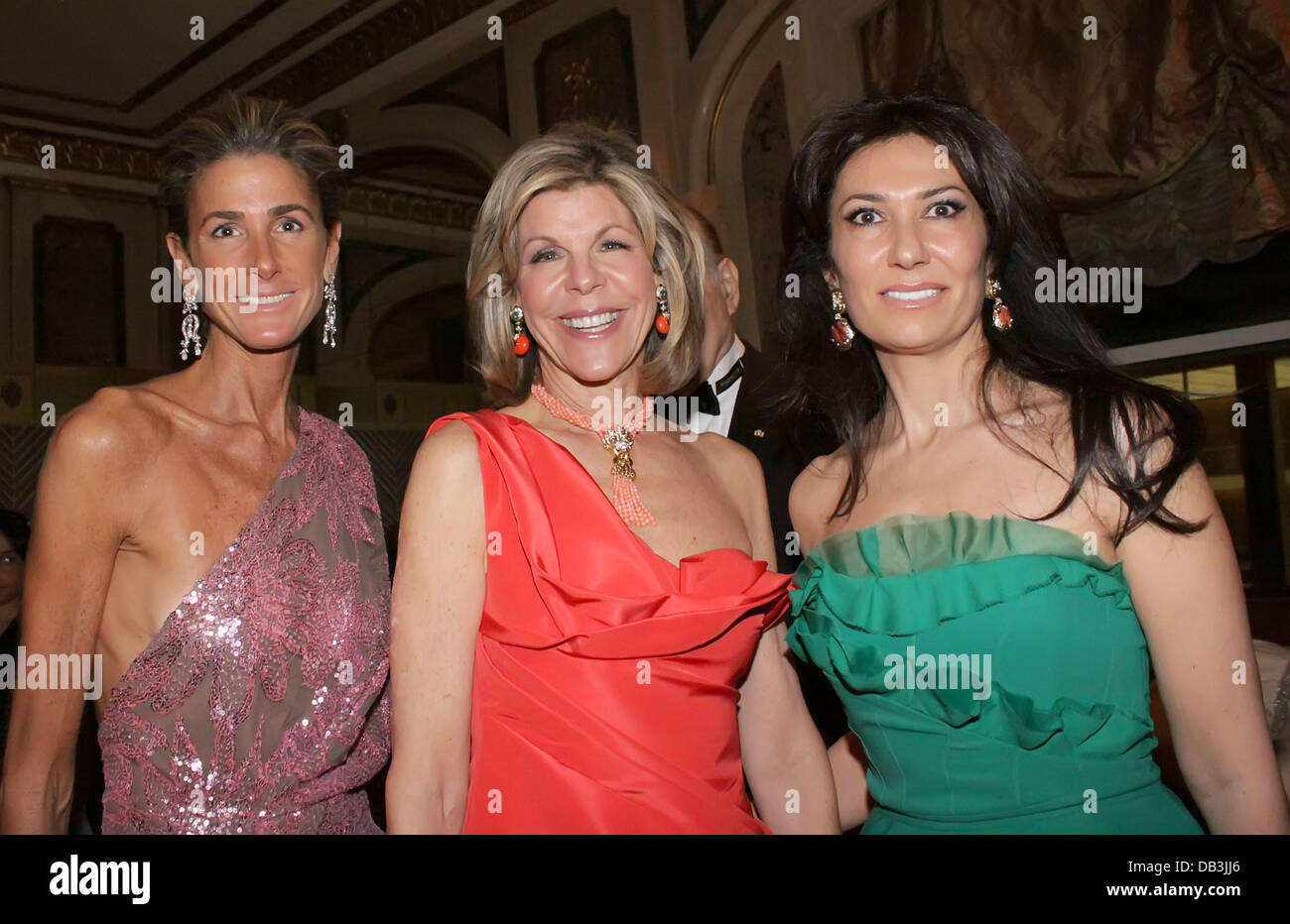 Somers farkas -Fotos und -Bildmaterial in hoher Auflösung – Alamy