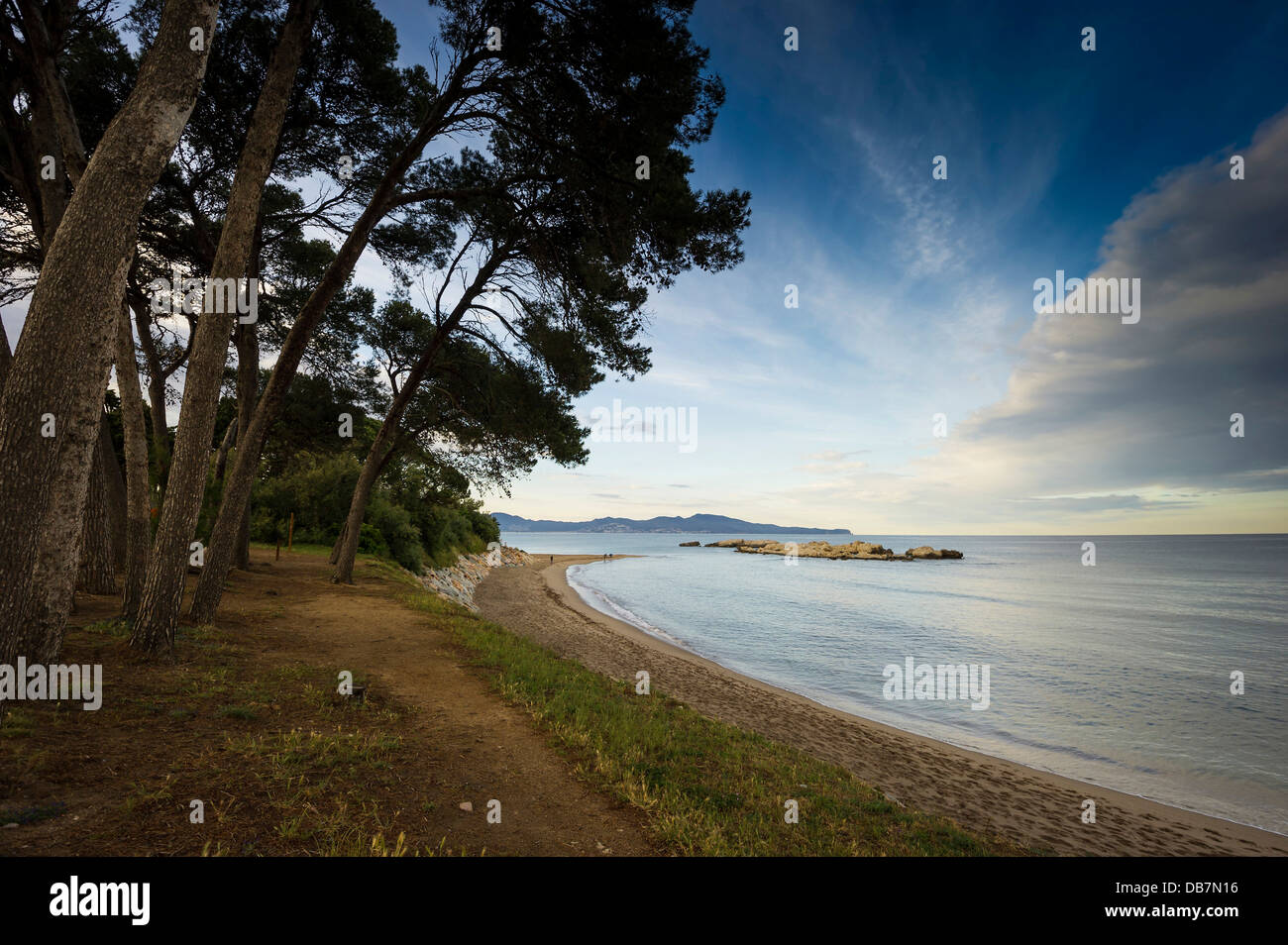 Pinien italienische landschaft -Fotos und -Bildmaterial in hoher ...