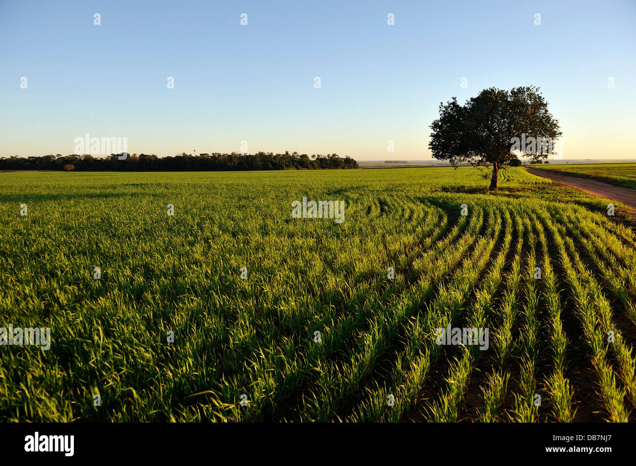 Agro industry -Fotos und -Bildmaterial in hoher Auflösung – Alamy