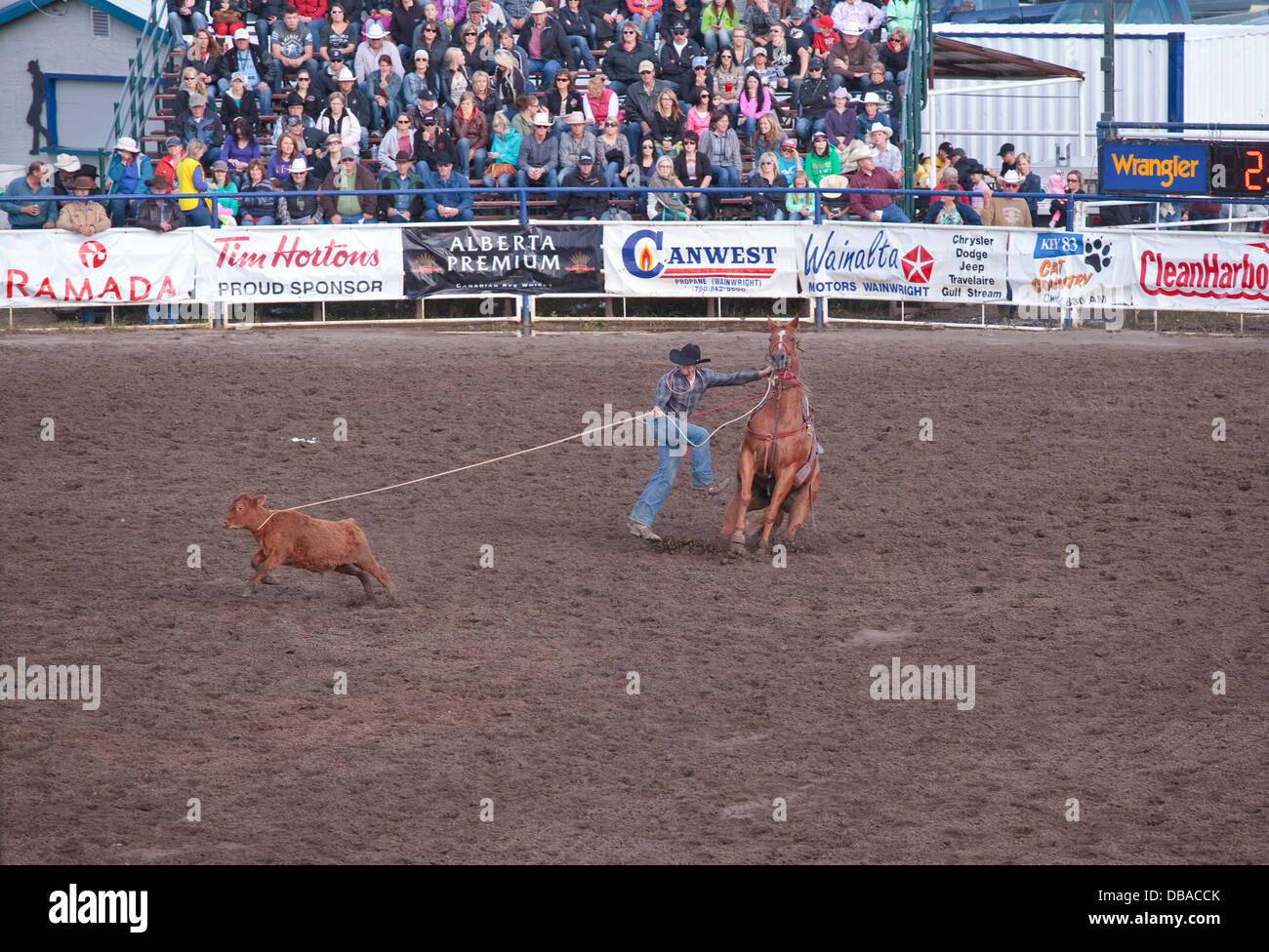 Alberta rodeo -Fotos und -Bildmaterial in hoher Auflösung – Alamy