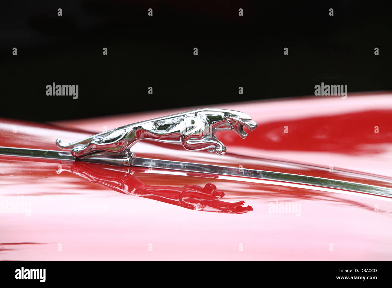 Jaguar car emblem -Fotos und -Bildmaterial in hoher Auflösung - Seite 2 ...