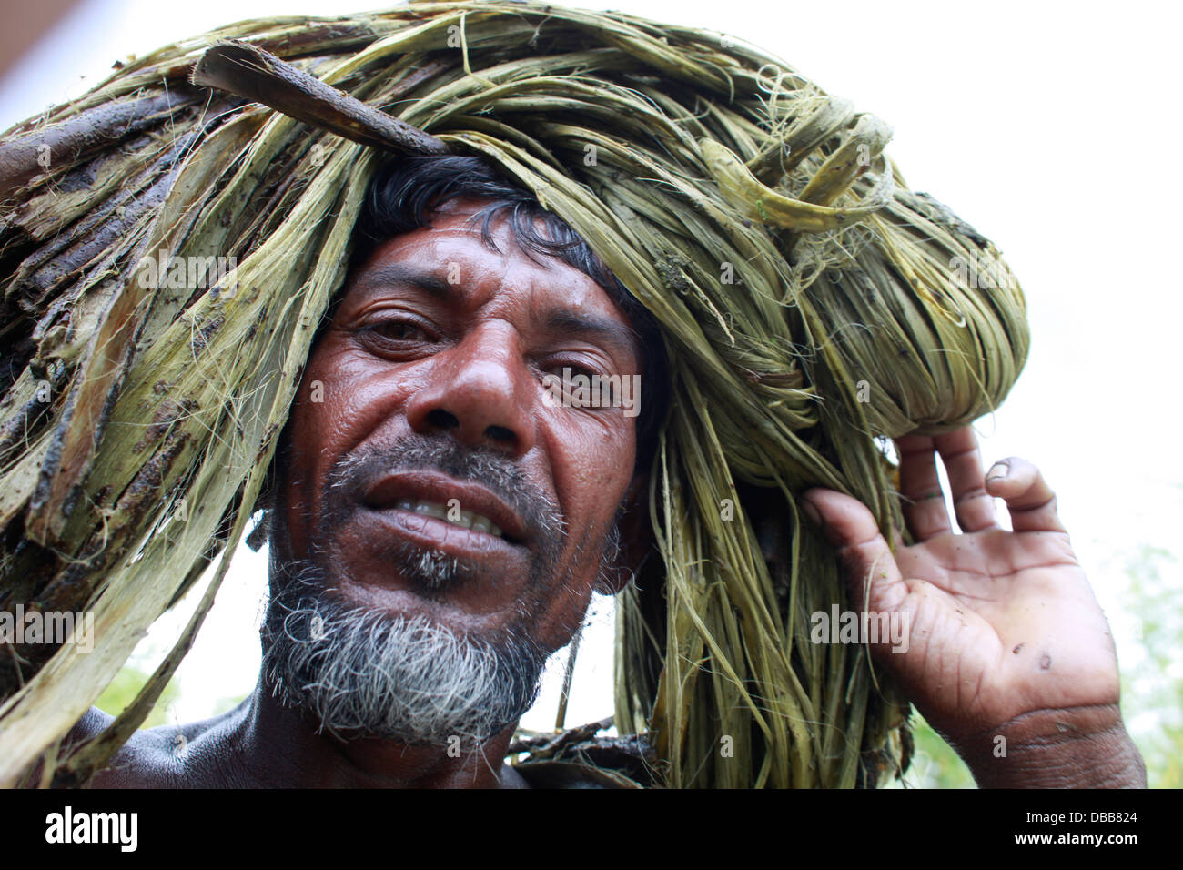 Jute anbau -Fotos und -Bildmaterial in hoher Auflösung – Alamy