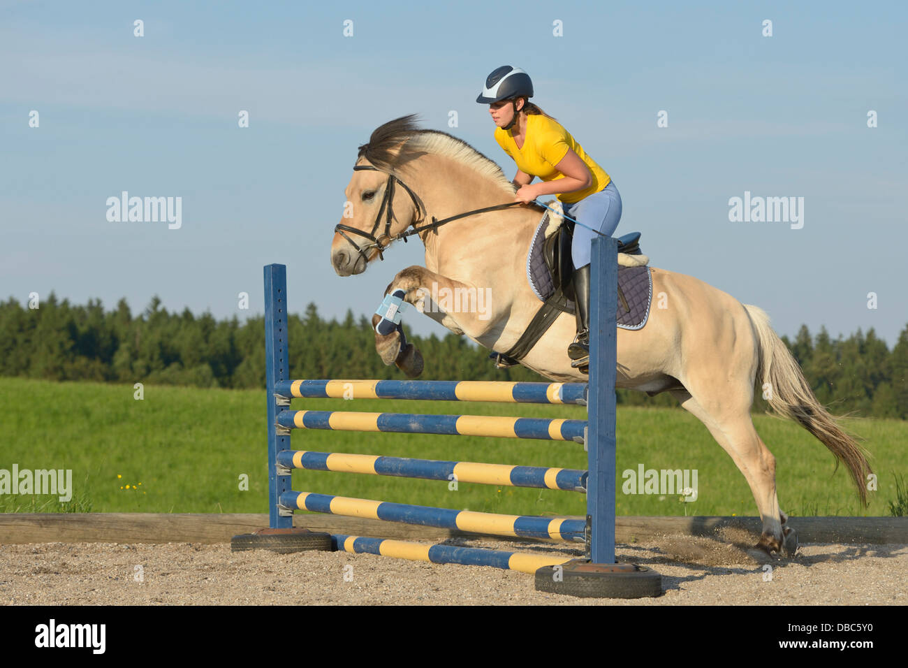 Springender reiter -Fotos und -Bildmaterial in hoher Auflösung – Alamy