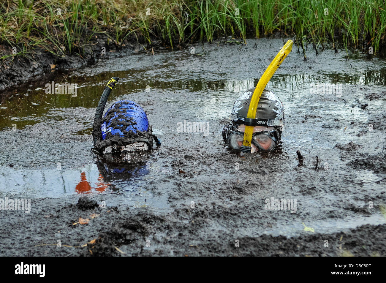 Schwimmen im schlamm -Fotos und -Bildmaterial in hoher Auflösung – Alamy