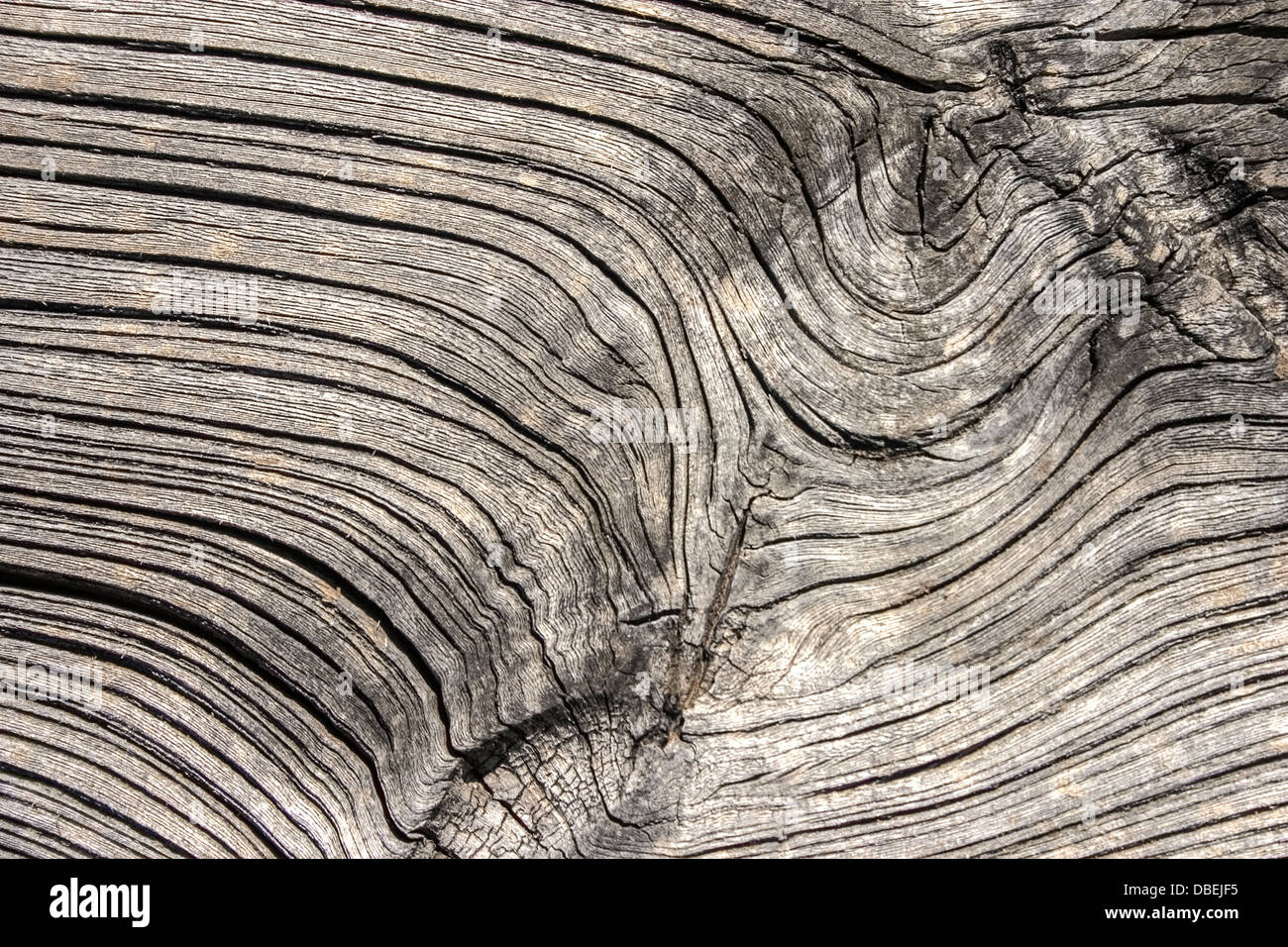 Holz ausschneiden -Fotos und -Bildmaterial in hoher Auflösung – Alamy