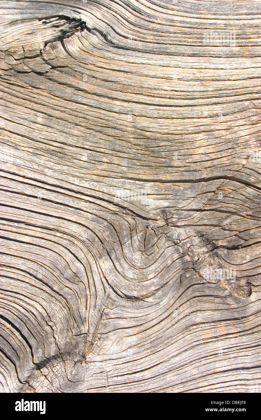 Holz ausschneiden -Fotos und -Bildmaterial in hoher Auflösung – Alamy