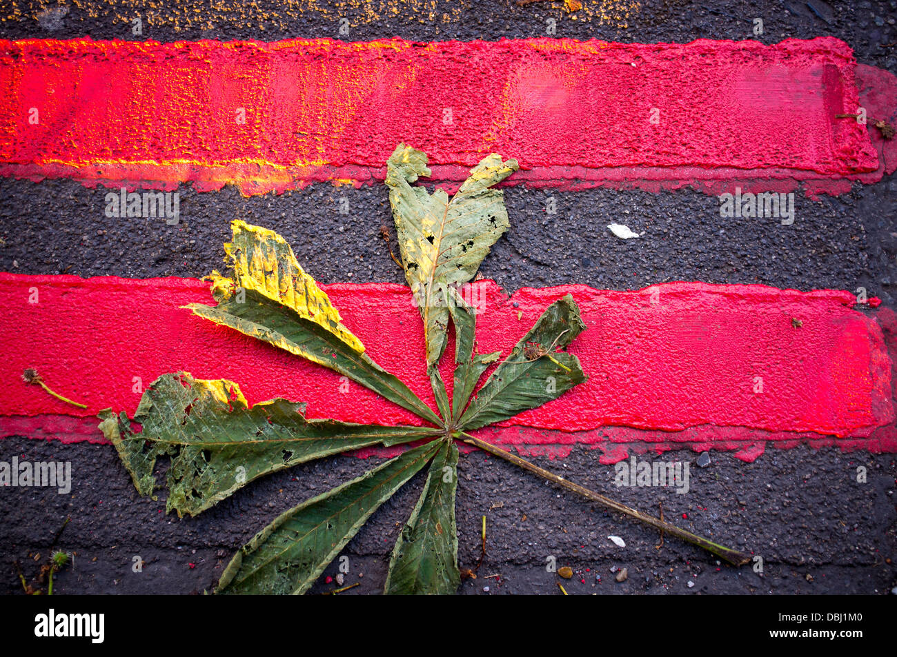 Rote linien -Fotos und -Bildmaterial in hoher Auflösung – Alamy