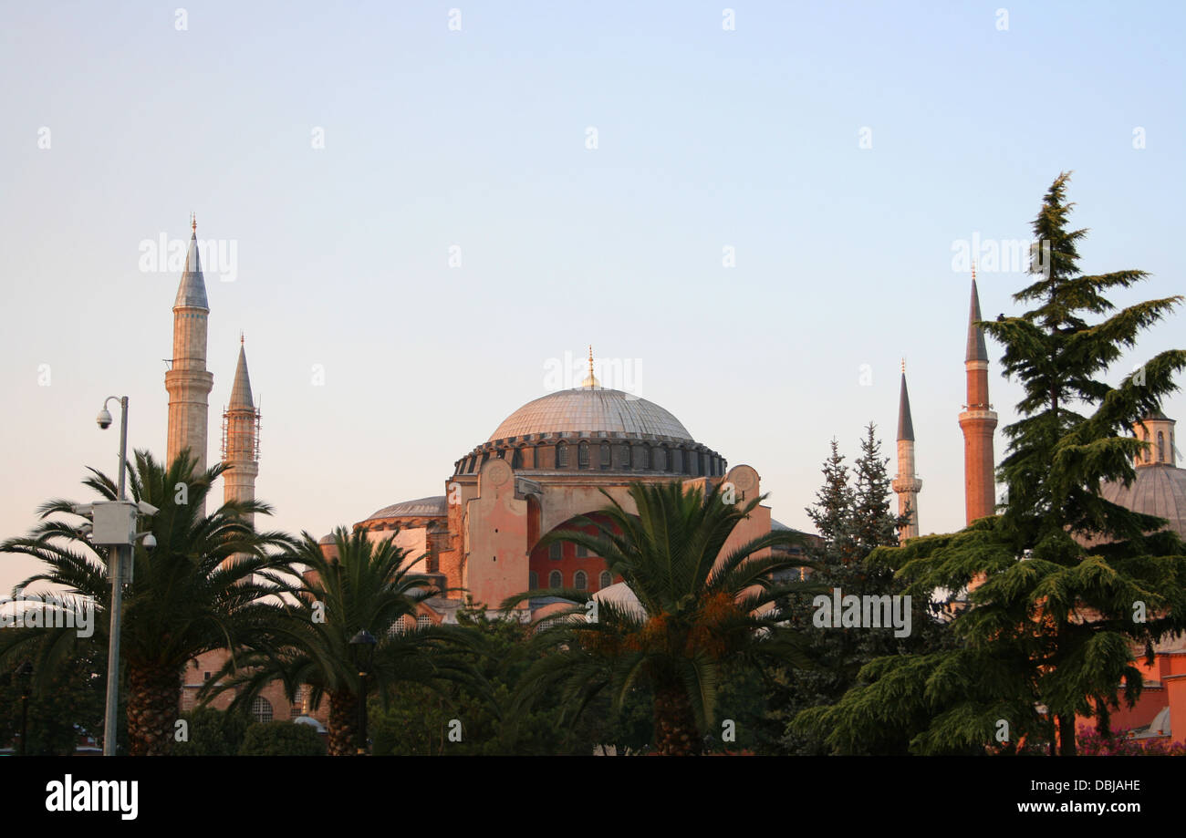 Sophia wunder -Fotos und -Bildmaterial in hoher Auflösung – Alamy