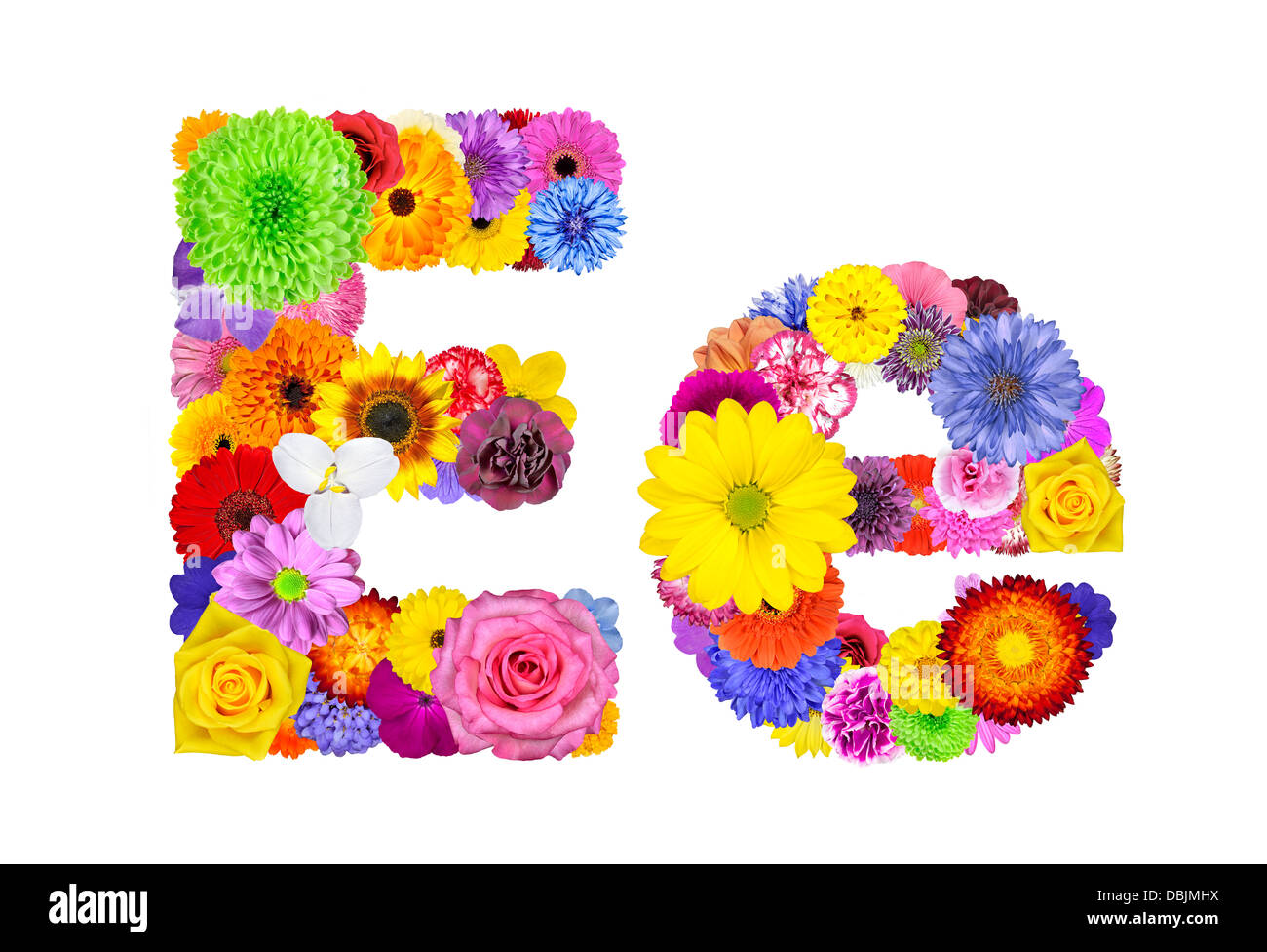 Buchstabe E des Blumen Alphabetes, Isolated on White. Buchstaben ...