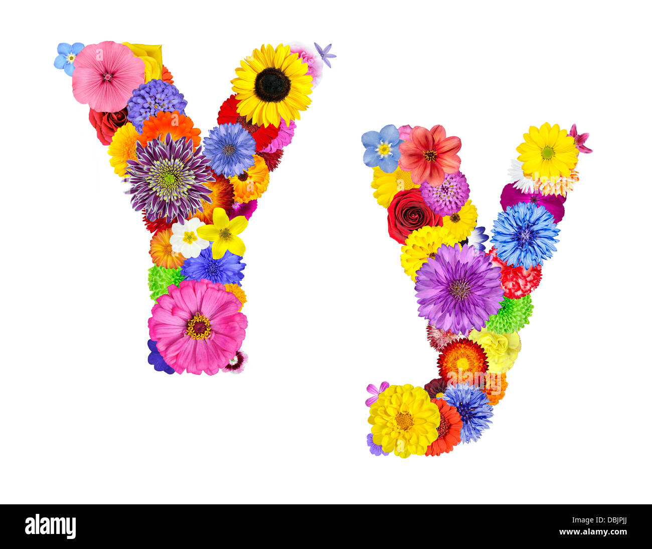 Buchstabe Y Flower Alphabet, Isolated on White. Buchstaben bestehen aus ...