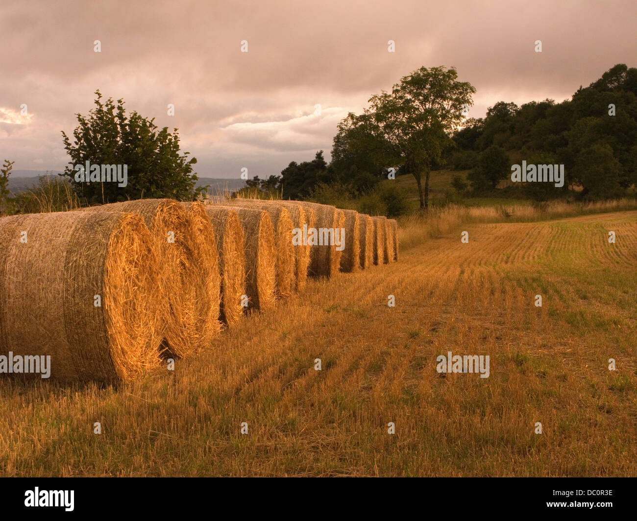 Zentralmassiv in frankreich -Fotos und -Bildmaterial in hoher Auflösung ...