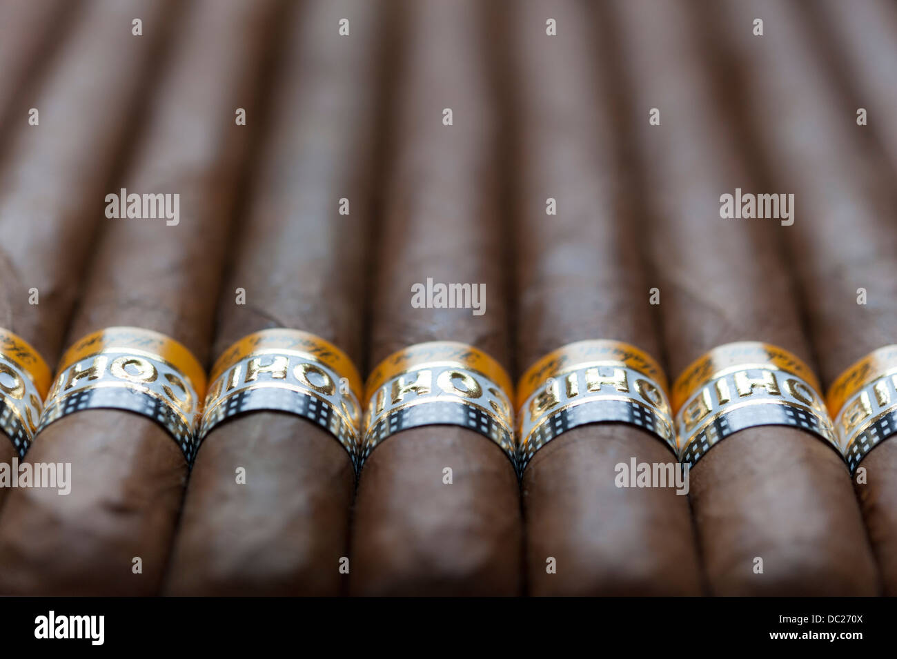 Cohiba Esplendido Havanna Zigarren aus Kuba Stockfotografie - Alamy