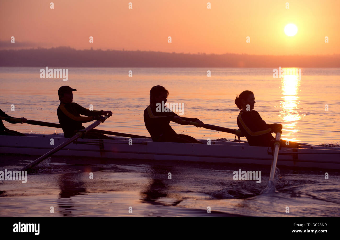 Abends Rudern Stockfotos und -bilder Kaufen - Alamy
