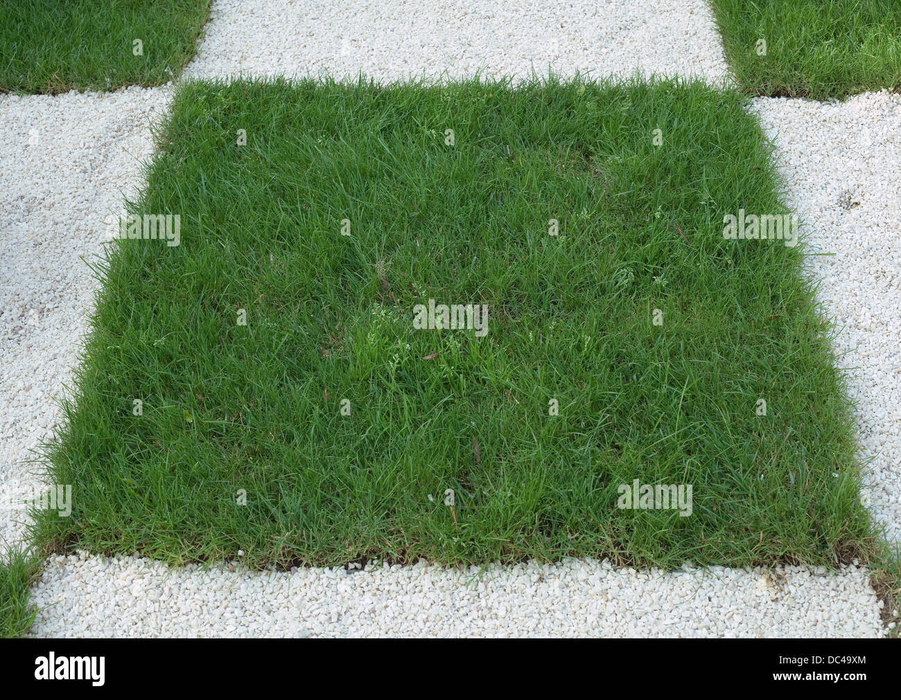Kariert fliese -Fotos und -Bildmaterial in hoher Auflösung – Alamy