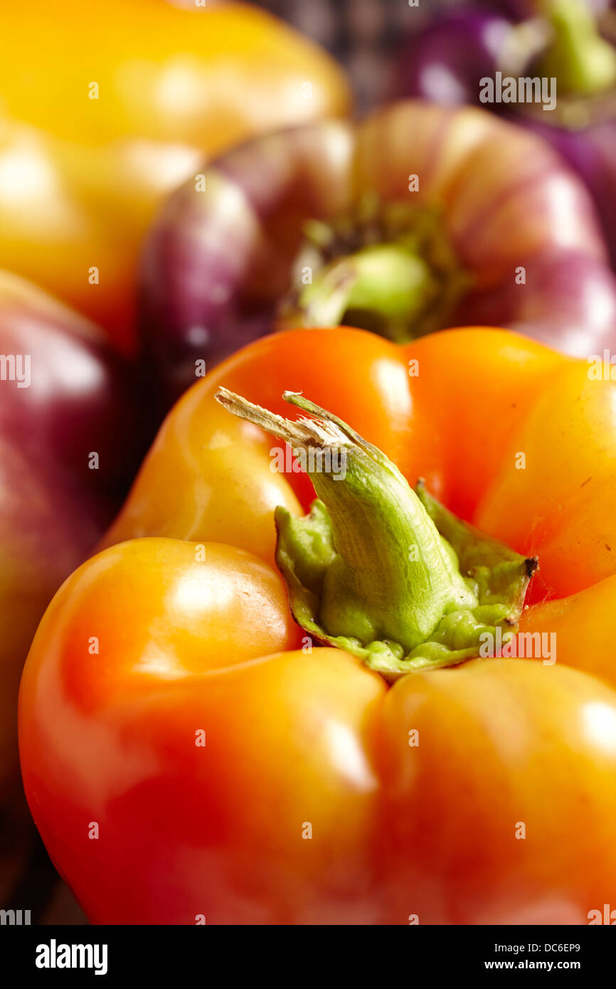 Lila rote paprika -Fotos und -Bildmaterial in hoher Auflösung – Alamy