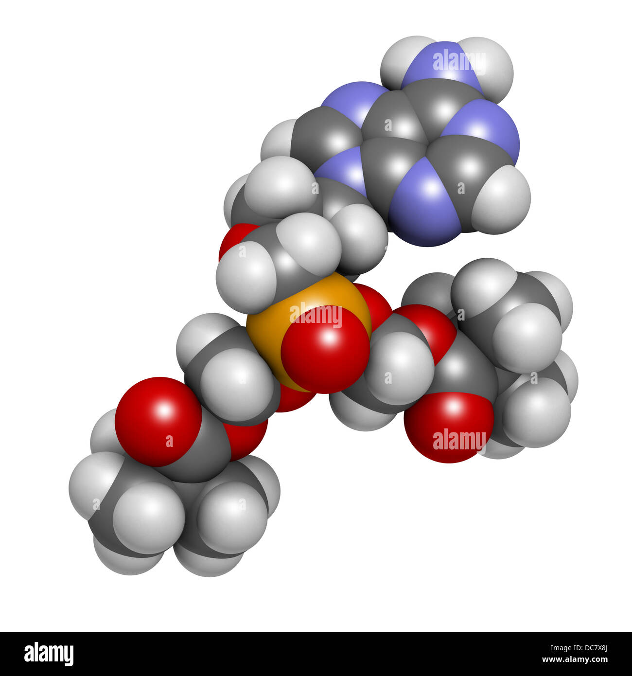 Adefovir Dipivoxil Hepatitis B und Herpes-Simplex-Virus (HSV ...