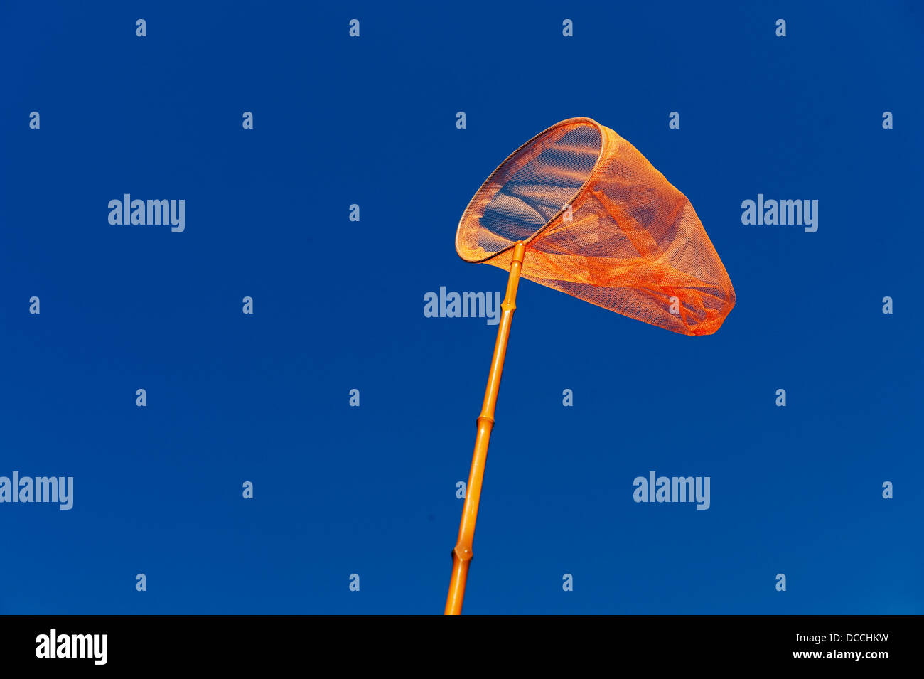 Fangen mit netz -Fotos und -Bildmaterial in hoher Auflösung – Alamy