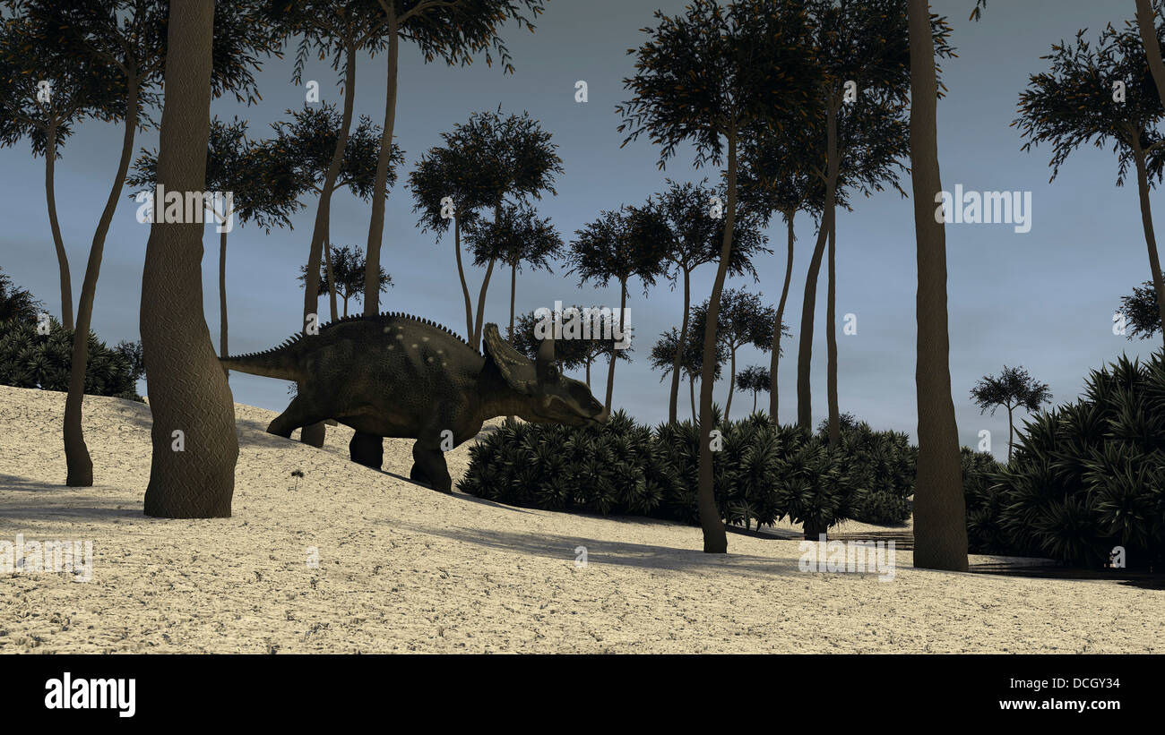 Triceratops in prehistoric environment -Fotos und -Bildmaterial in ...