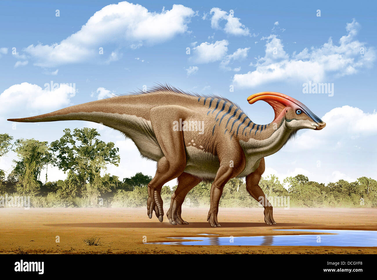 Entenschnabel dinosaurier -Fotos und -Bildmaterial in hoher Auflösung ...