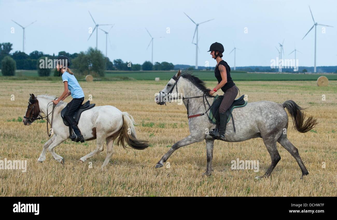 Pferde feld reiten deutschland -Fotos und -Bildmaterial in hoher ...