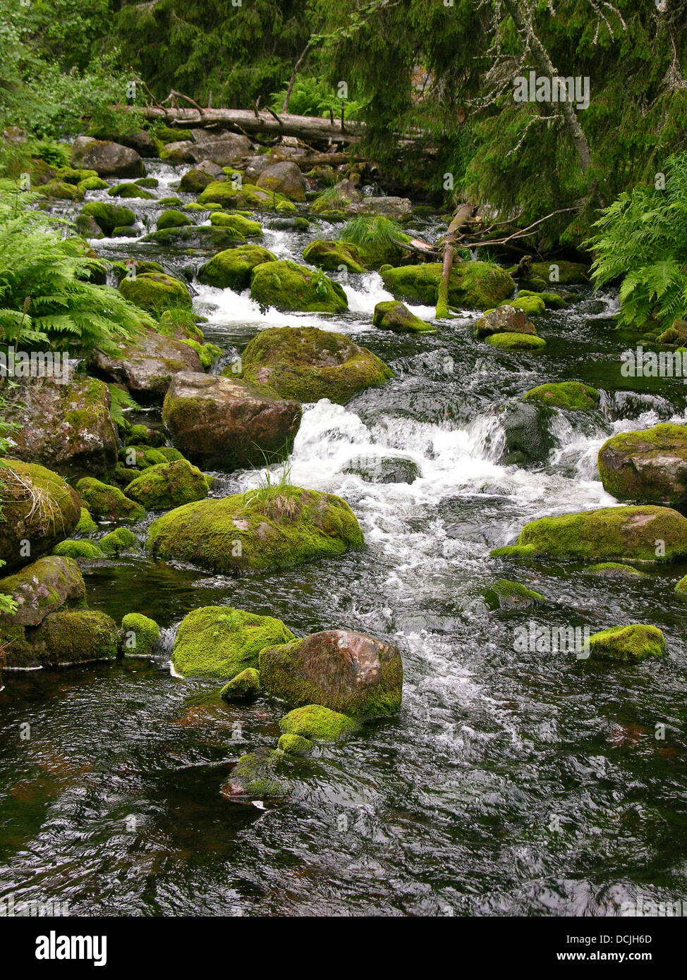 Bach, Fluss, Bach, Bach, Wildbach, Bach, induktionskopfhörern, Fluss ...