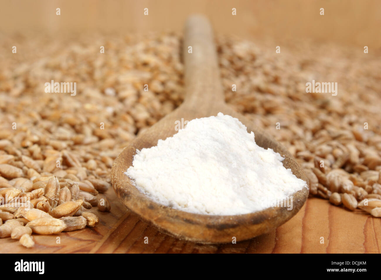 Auf getreidemehl -Fotos und -Bildmaterial in hoher Auflösung – Alamy