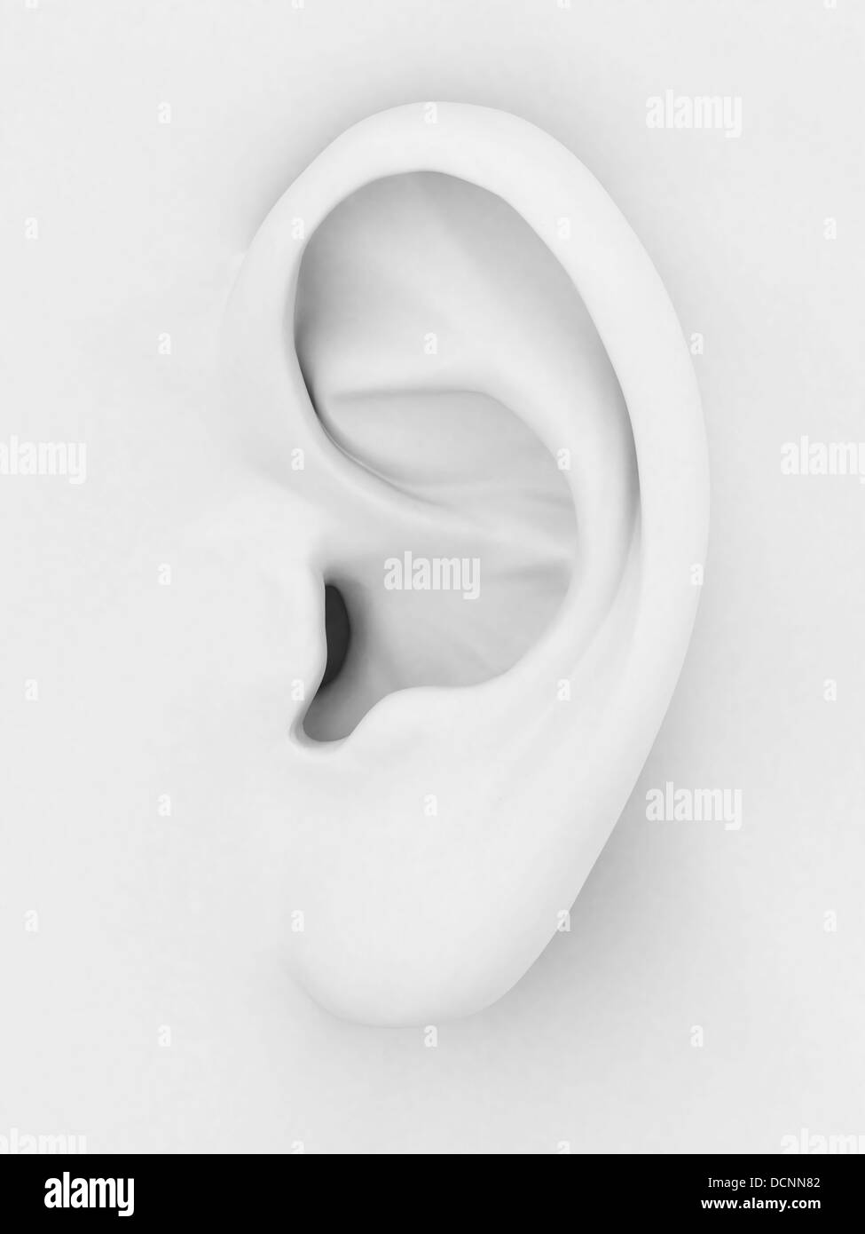 3d ohr -Fotos und -Bildmaterial in hoher Auflösung – Alamy