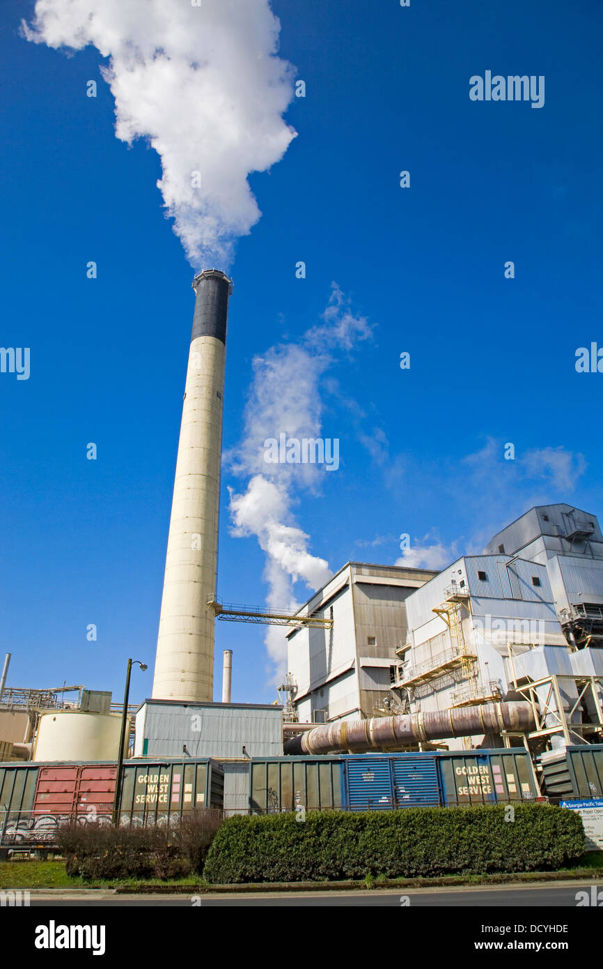 Zellstoff papierfabrik -Fotos und -Bildmaterial in hoher Auflösung – Alamy