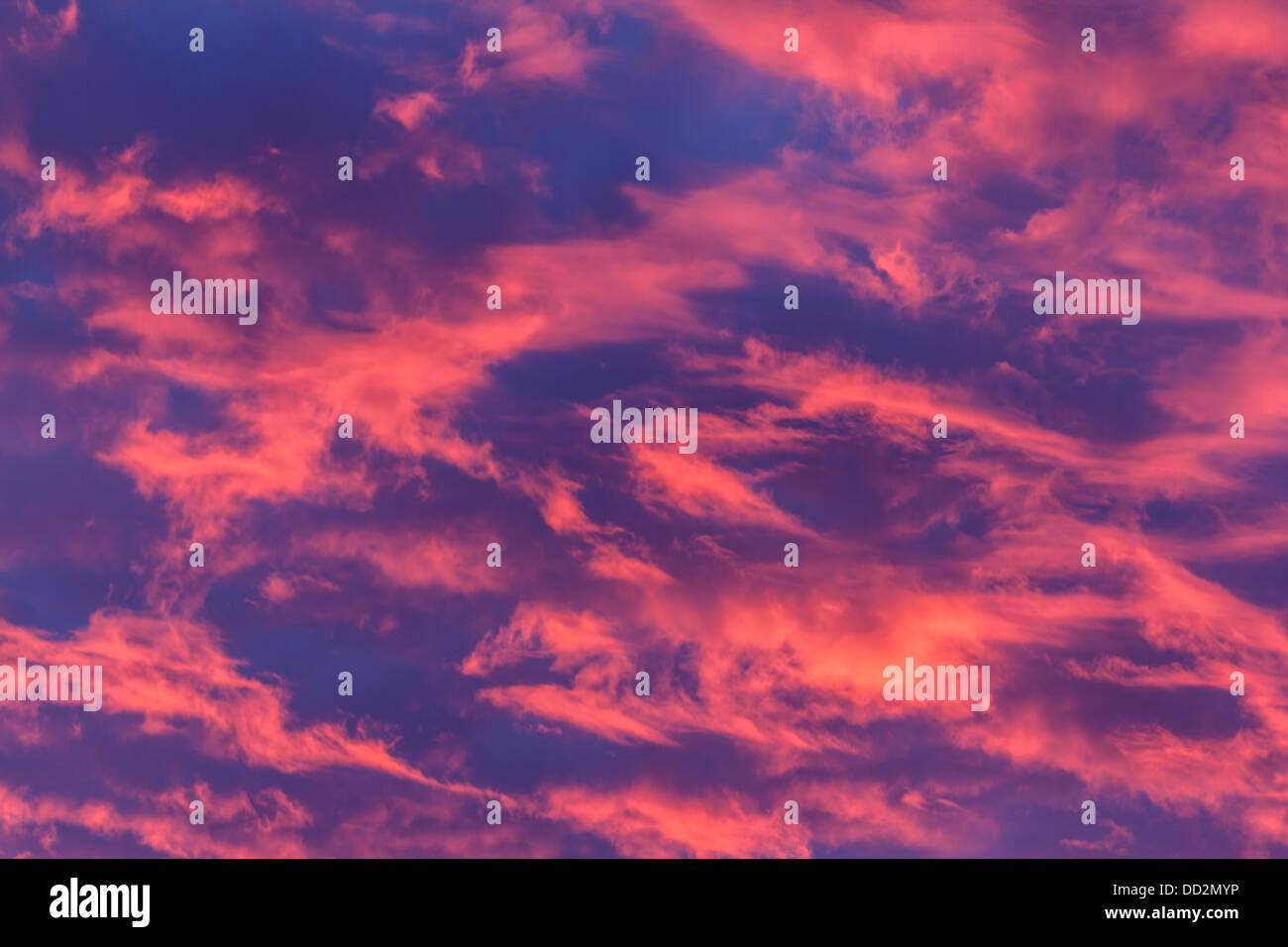 Rosa wolken -Fotos und -Bildmaterial in hoher Auflösung – Alamy