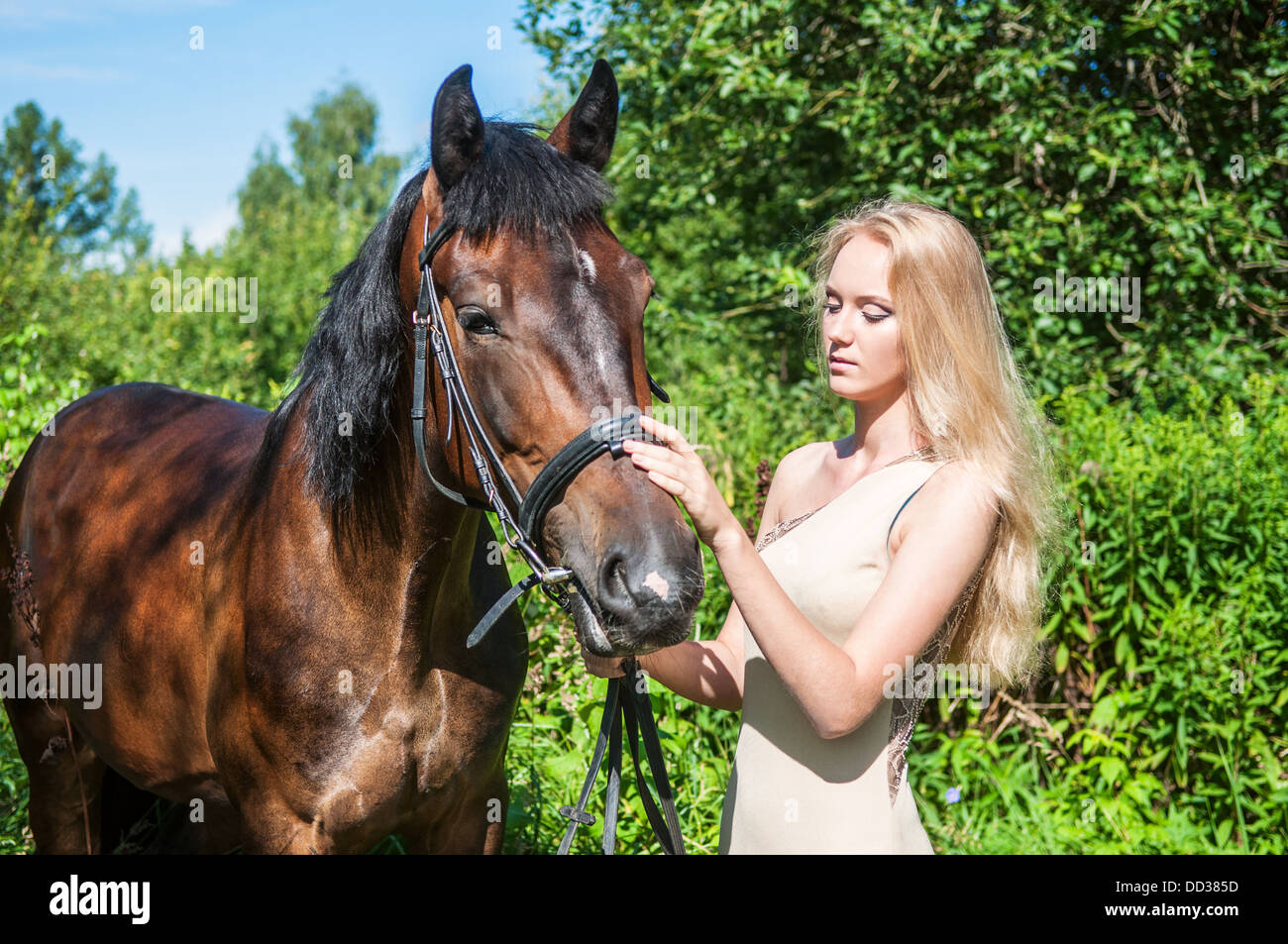 Horse girl love -Fotos und -Bildmaterial in hoher Auflösung – Alamy