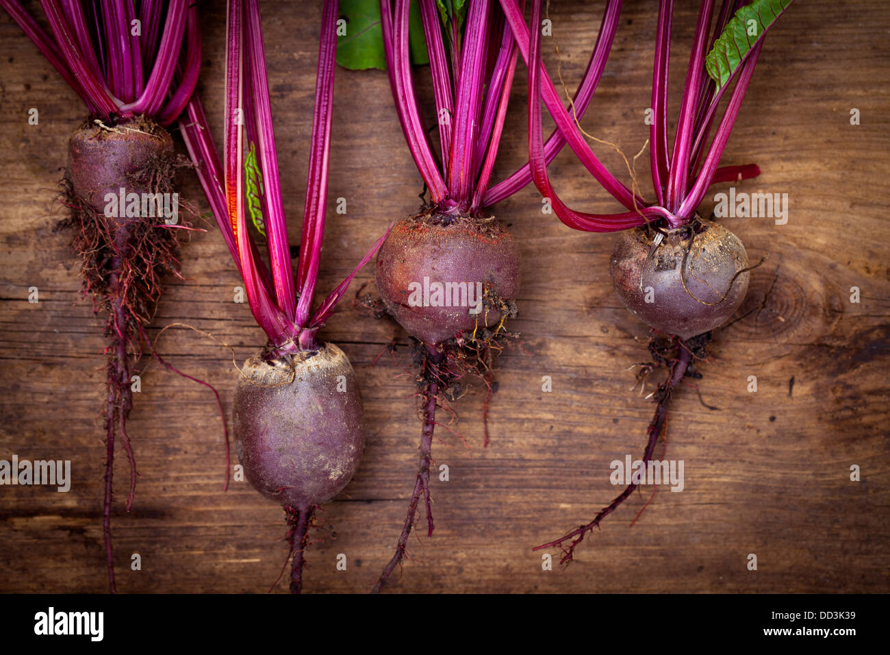 Rote bete -Fotos und -Bildmaterial in hoher Auflösung – Alamy