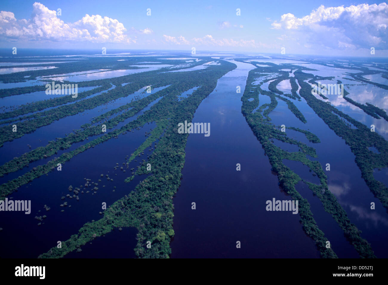 Fluss In Brasilien