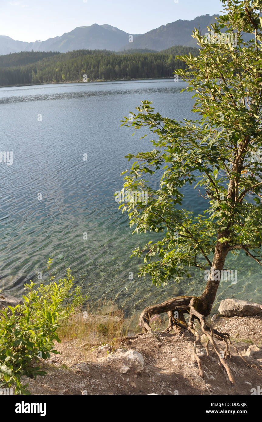 Eibsee, Bayern, Deutschland Stockfotografie - Alamy