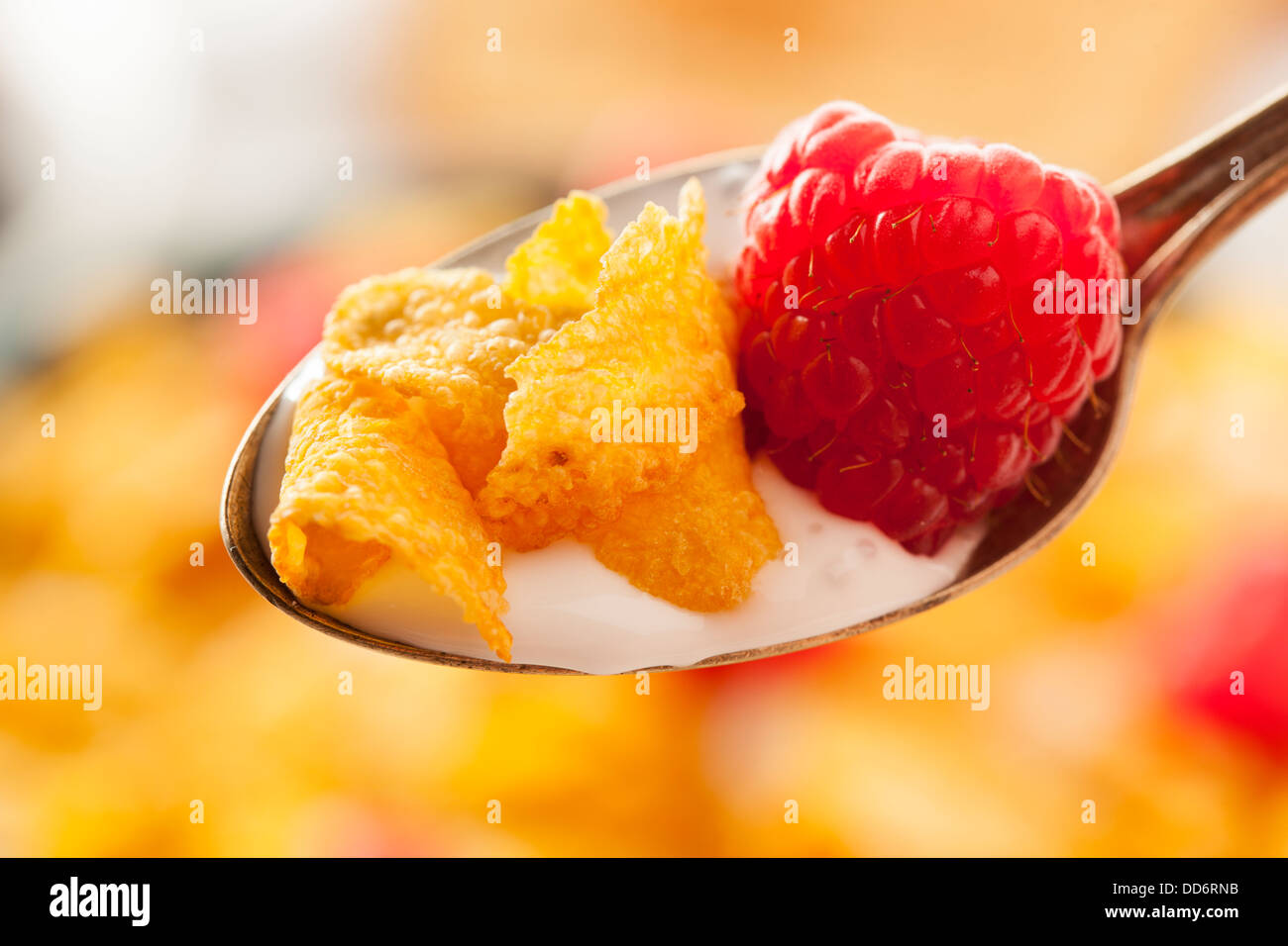 Hafer mais cornflakes -Fotos und -Bildmaterial in hoher Auflösung – Alamy