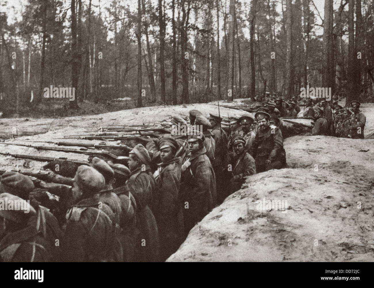 1. Weltkrieg. Russische Truppen in einem Graben auf eines der waldreichen Hochebenen in den ...