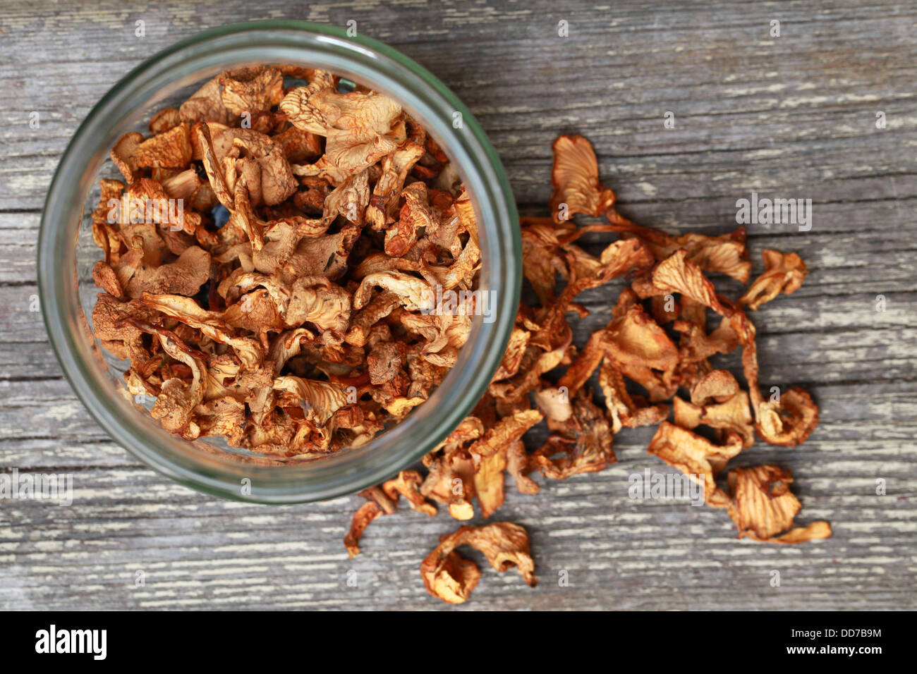 Getrocknete holzpilze -Fotos und -Bildmaterial in hoher Auflösung – Alamy