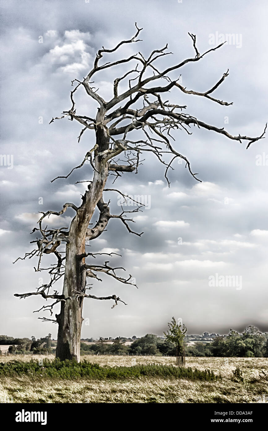 Man struck lightning -Fotos und -Bildmaterial in hoher Auflösung – Alamy