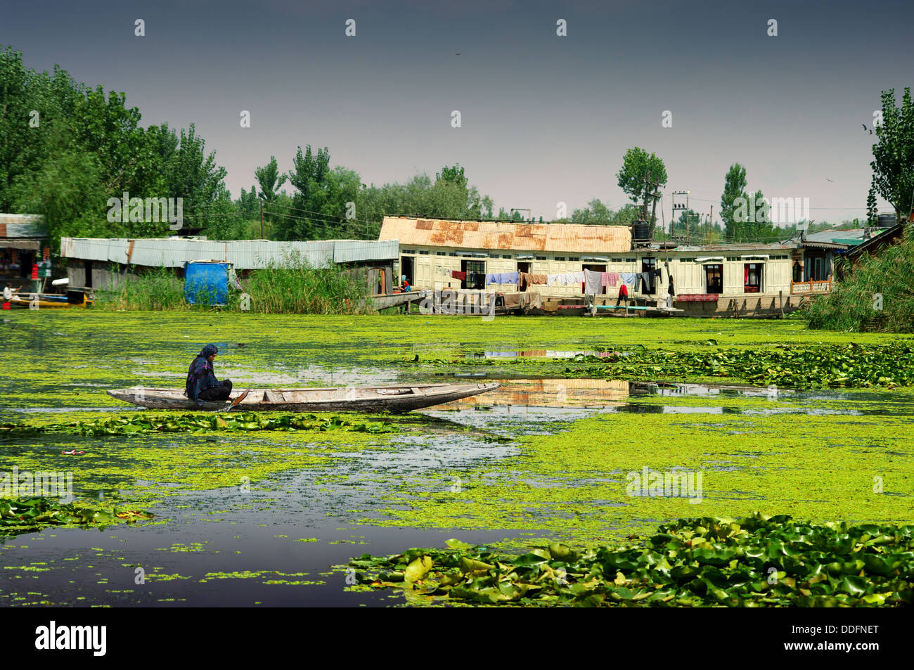 Bootfahren see pool teich boot -Fotos und -Bildmaterial in hoher ...