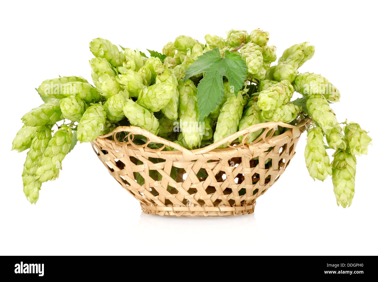 Hopfen hintergrund -Fotos und -Bildmaterial in hoher Auflösung – Alamy