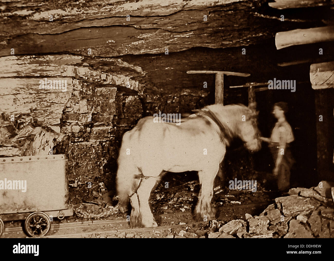 Coal Mine Pit Pony viktorianischen Zeit Stockfotografie - Alamy