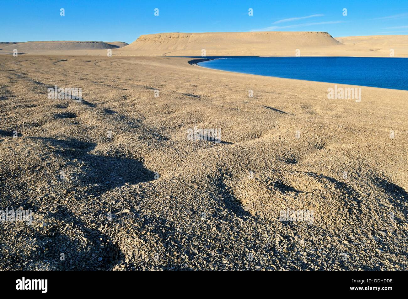 arktische Wüste Landschaft am Erebus und Terror Bay, Devon, Beechey ...
