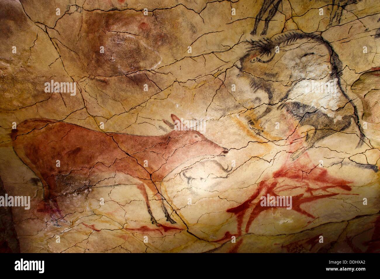 Hirsche und Bisons in Altamira´s Reproduktion Höhle Neo Cave ...