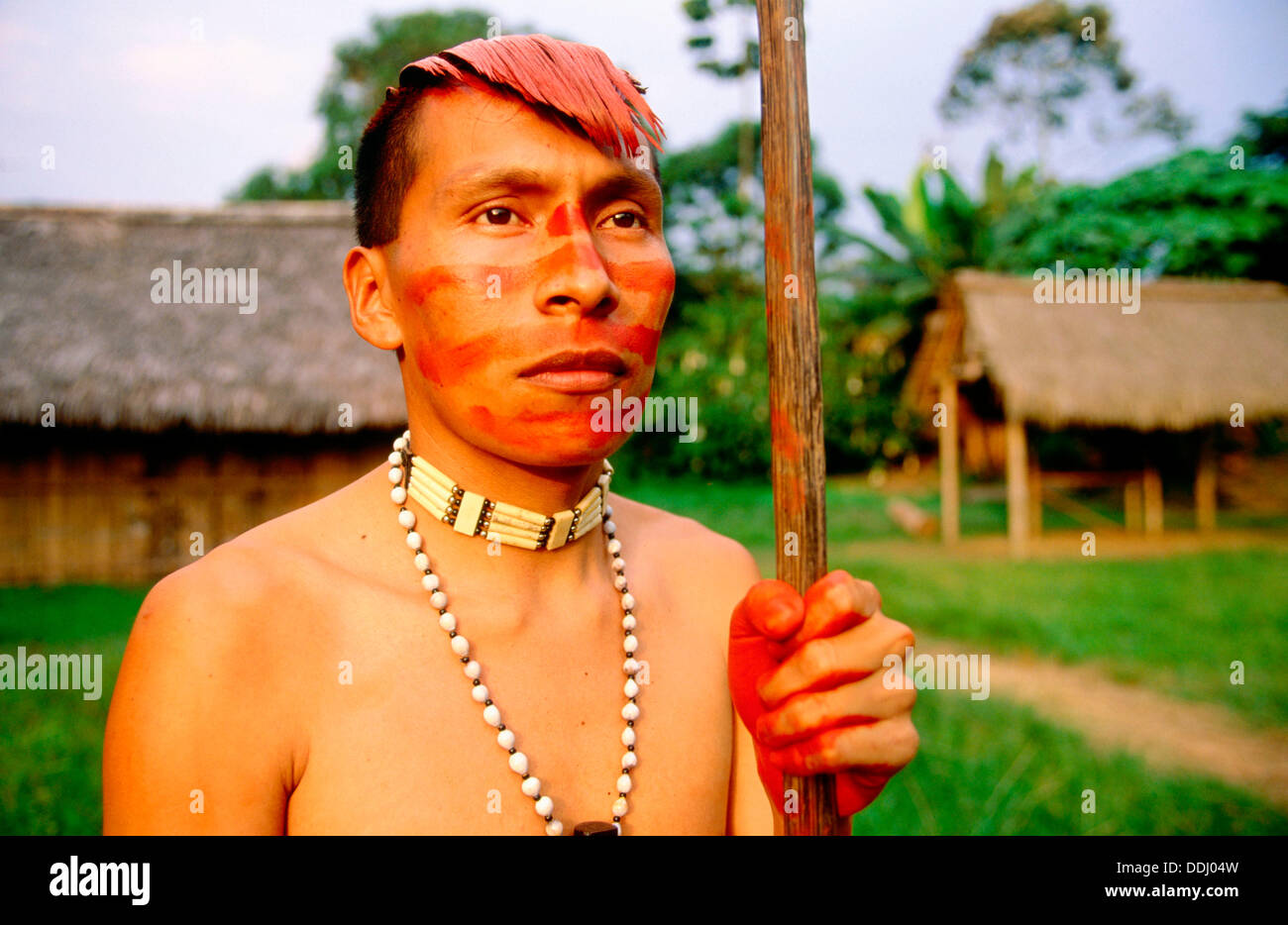 Tsachila ecuador -Fotos und -Bildmaterial in hoher Auflösung – Alamy