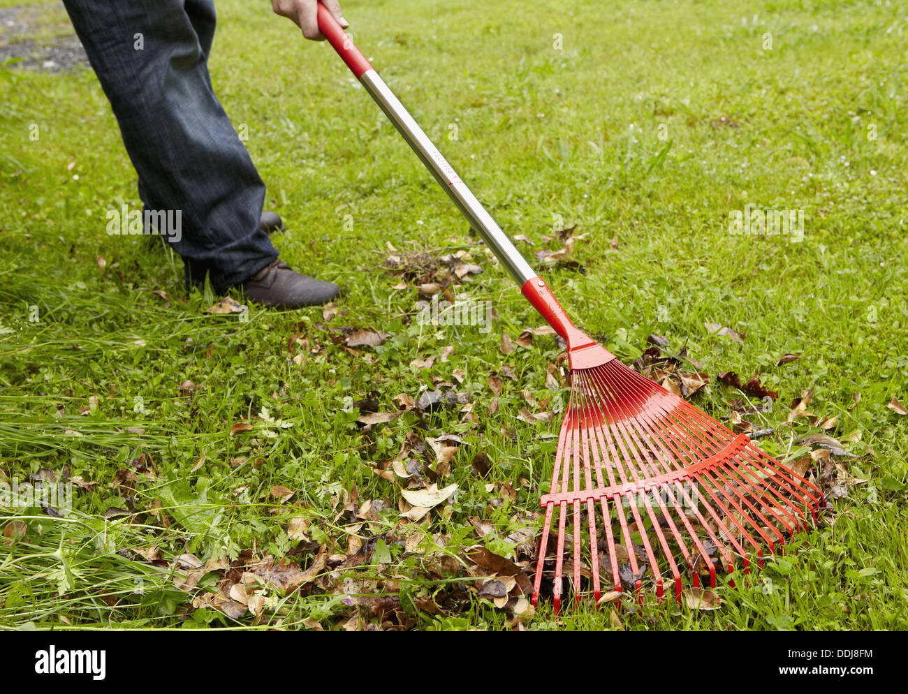 Werkzeug rechen -Fotos und -Bildmaterial in hoher Auflösung – Alamy