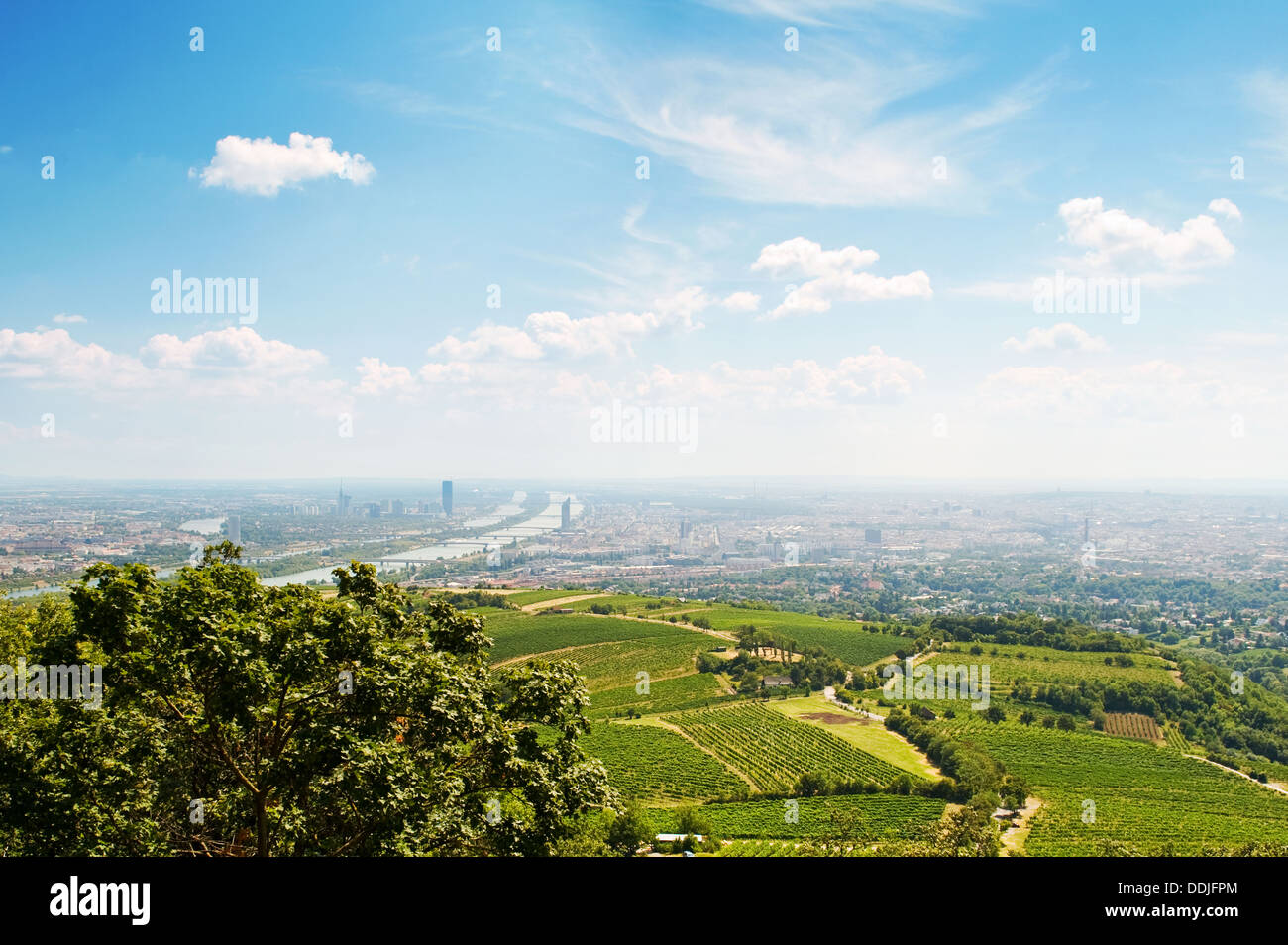 Wienerwald, wienerwald -Fotos und -Bildmaterial in hoher Auflösung – Alamy